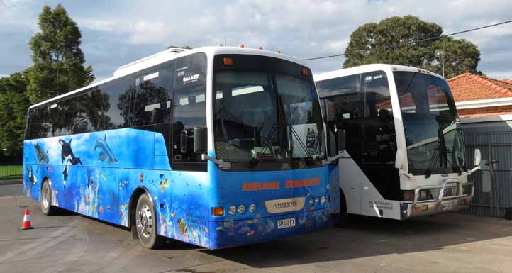 Adelaide Coachlines | australia.SHOWBUS.com BUS & COACH IMAGE GALLERY
