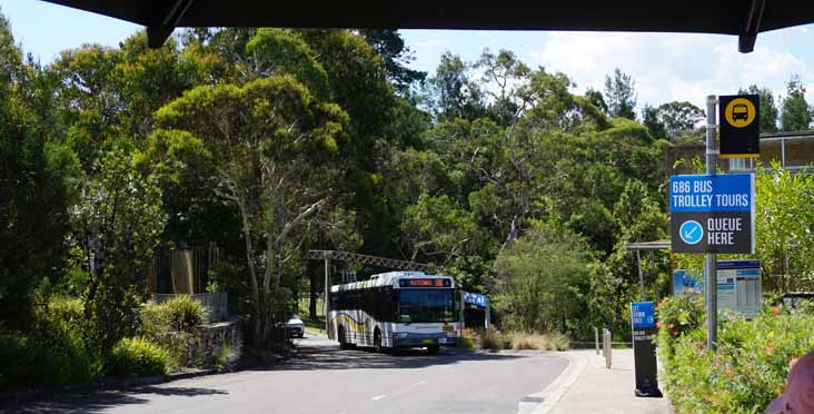 Blue Mountain Bus Company | australia.SHOWBUS.com BUS IMAGE GALLERY ...