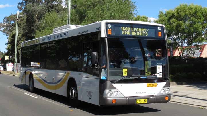 Blue Mountain Bus Company | australia.SHOWBUS.com BUS IMAGE GALLERY ...