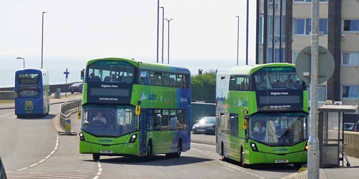 Brighton & Hove | SHOWBUS BUS IMAGE GALLERY