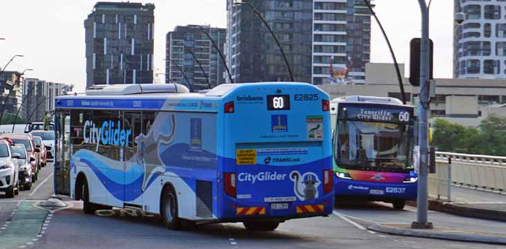 Brisbane Transport | australia.SHOWBUS.com BUS IMAGE GALLERY
