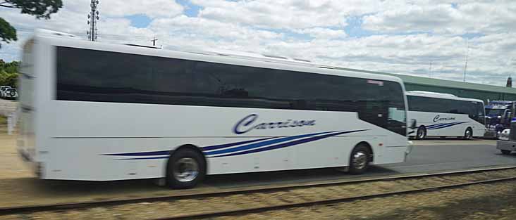 Carrison of Bairnsdale | australia.SHOWBUS.com BUS IMAGE GALLERY | Victoria