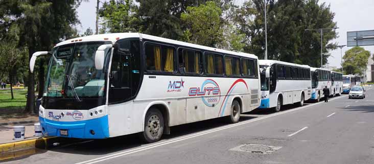 Autobuses Elite | SHOWBUS INTERNATIONAL BUS IMAGE GALLERY | Mexico