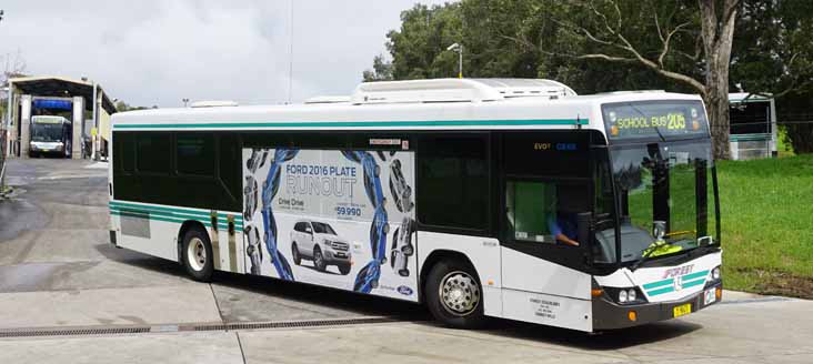 Forest Coach Lines | australia.SHOWBUS.com BUS IMAGE GALLERY