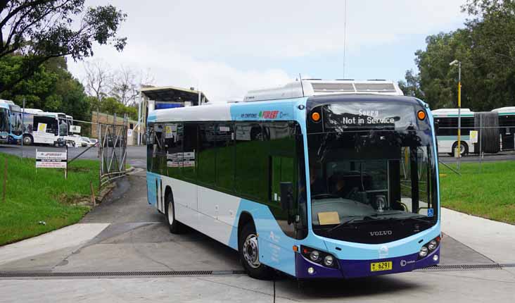 Forest Coach Lines | australia.SHOWBUS.com BUS IMAGE GALLERY