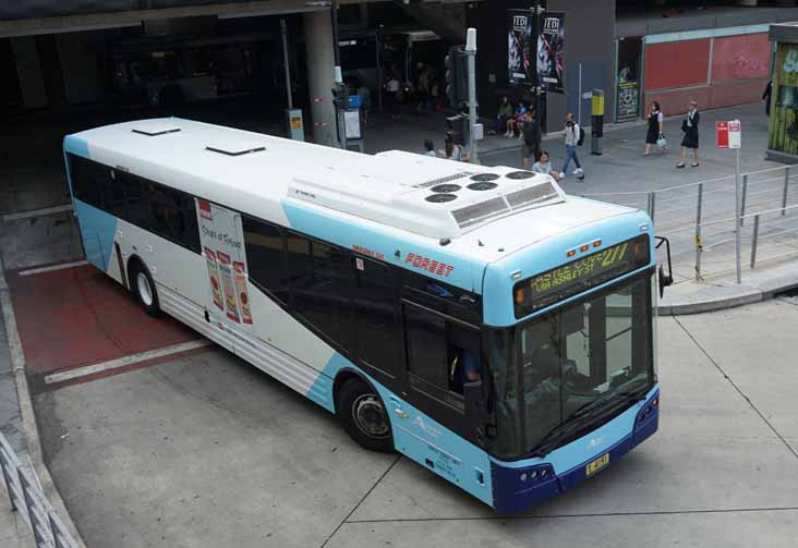 Forest Coach Lines | australia.SHOWBUS.com BUS IMAGE GALLERY