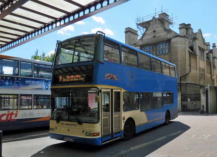 Go Whippet | SHOWBUS Bus Image Gallery | Anglia
