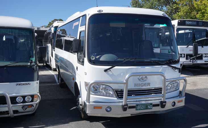 Bayside Coaches | Nuline Charter | australia.SHOWBUS.com BUS & COACH ...