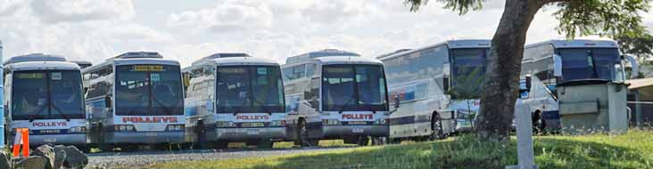 Polley's Coaches | australia.SHOWBUS.com BUS IMAGE GALLERY | Queensland
