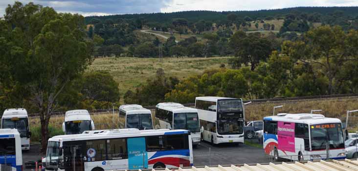Qcity | australia.SHOWBUS.com BUS IMAGE GALLERY