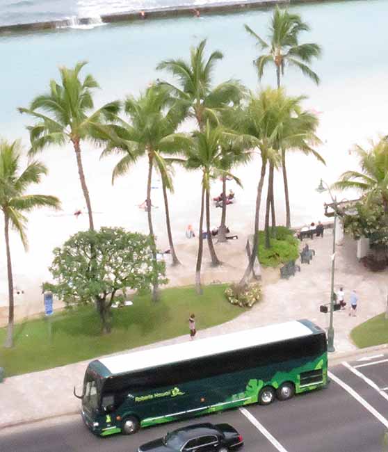 ROBERTS HAWAII | SHOWBUS AMERICA BUS IMAGE GALLERY