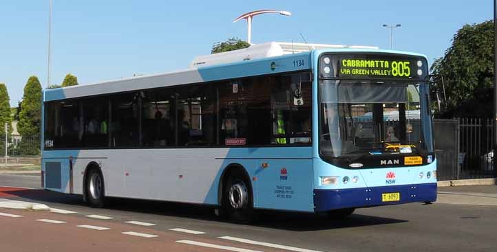 Transit Systems | australia.SHOWBUS.com BUS IMAGE GALLERY | NSW