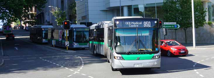 Transperth | australia.SHOWBUS.com BUS IMAGE GALLERY
