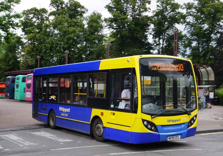Go Whippet | SHOWBUS Bus Image Gallery | Anglia