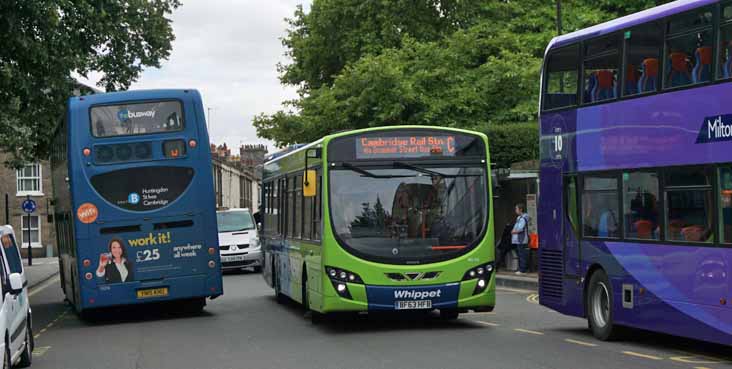 Go Whippet | SHOWBUS Bus Image Gallery | Anglia