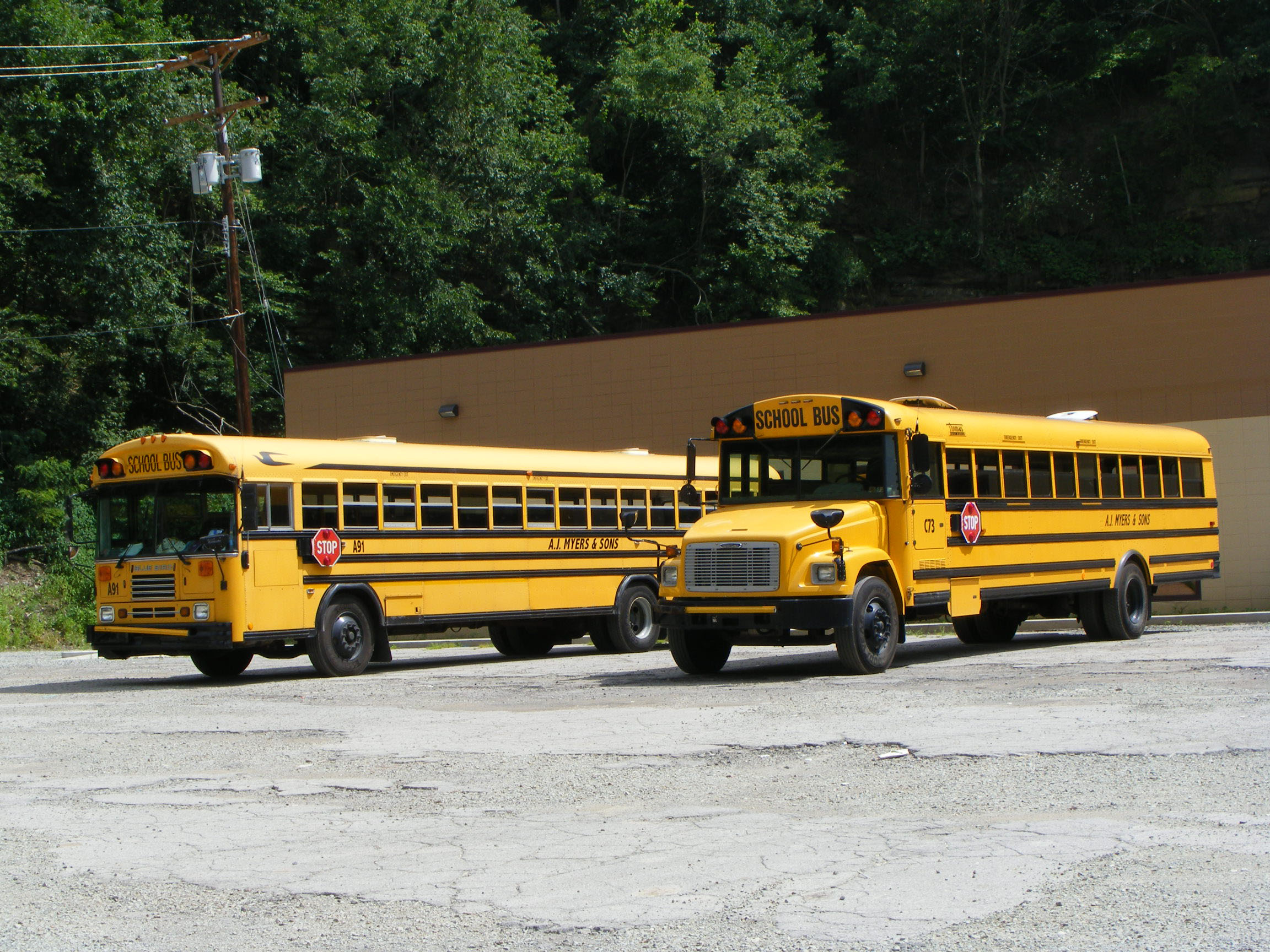 Pennsylvania State buses & coaches | SHOWBUS INTERNATIONAL BUS IMAGE ...