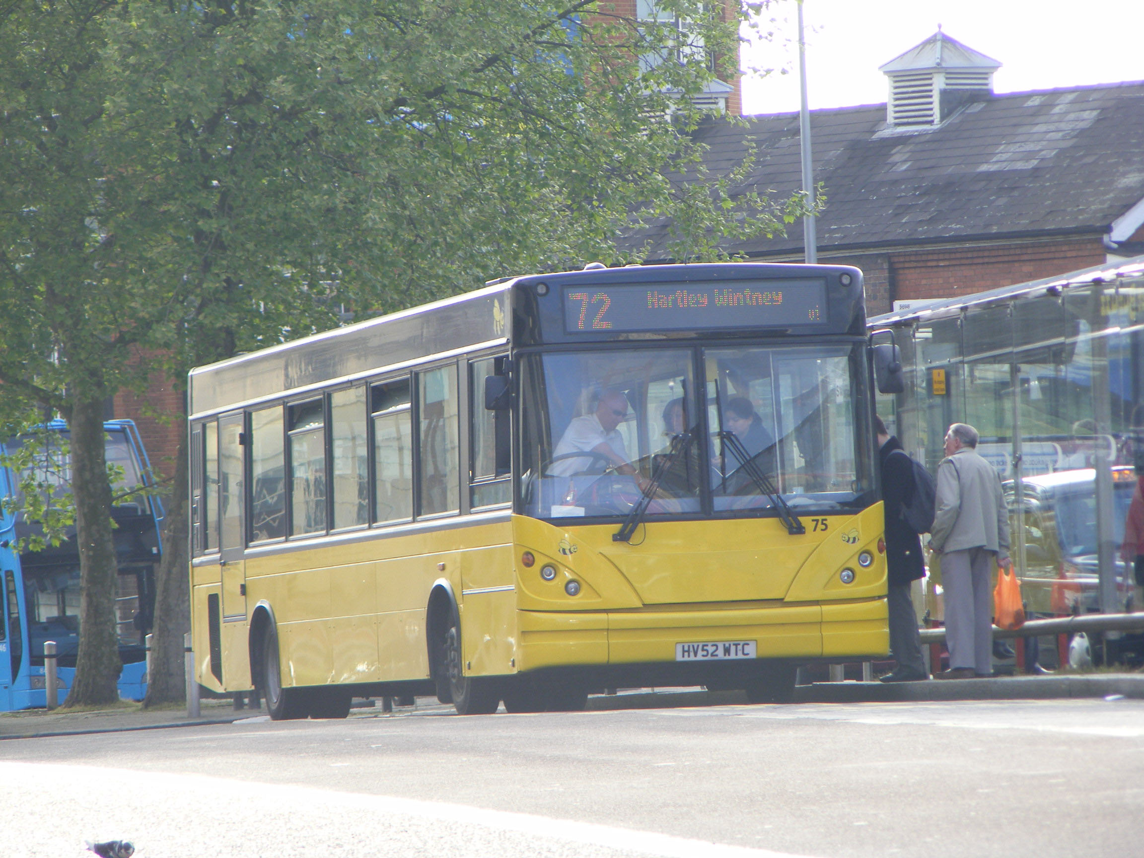 Fleet Buzz | SHOWBUS BUS IMAGE GALLERY