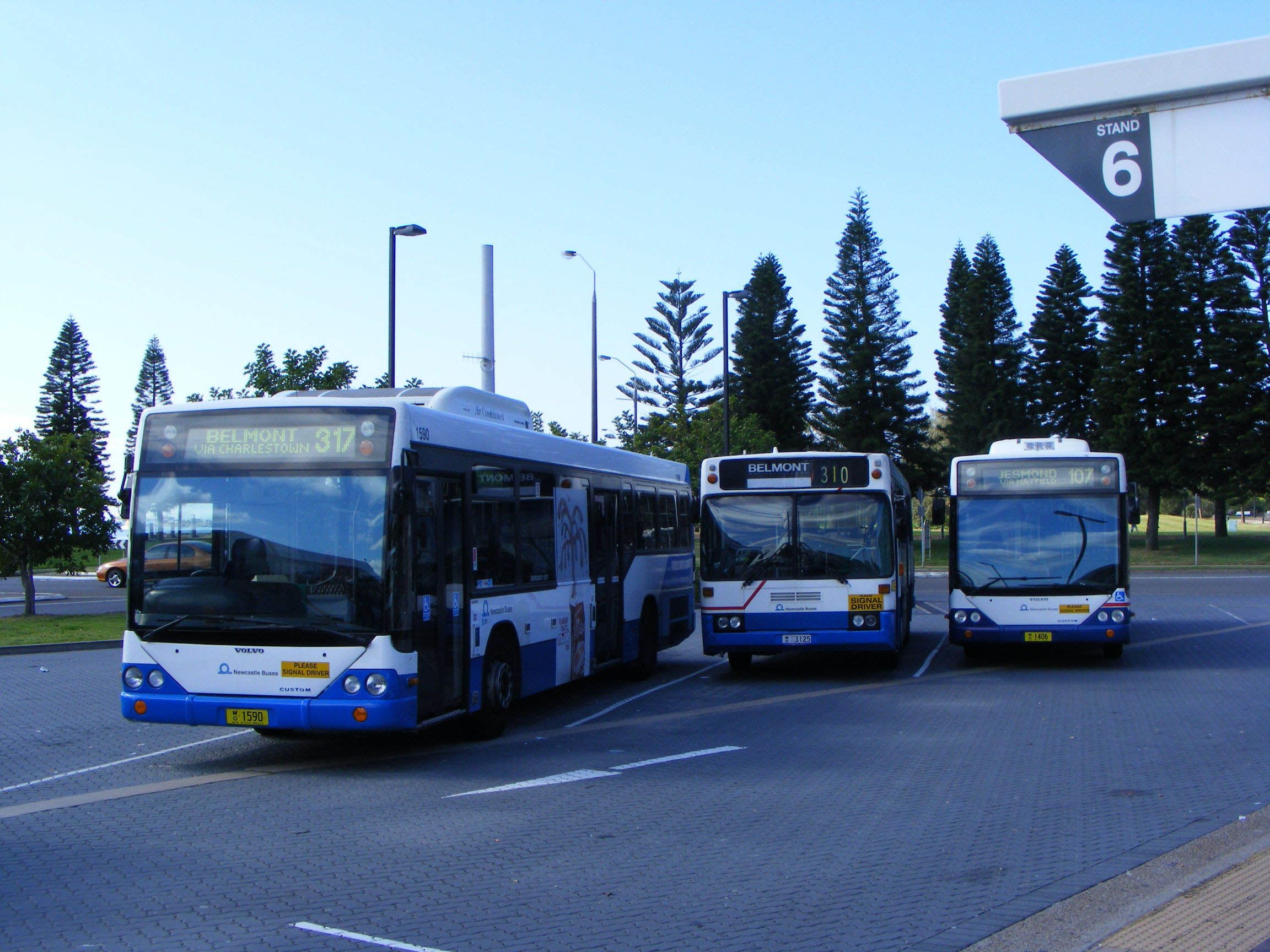 Newcastle Buses Australia SHOWBUS BUS IMAGE GALLERY