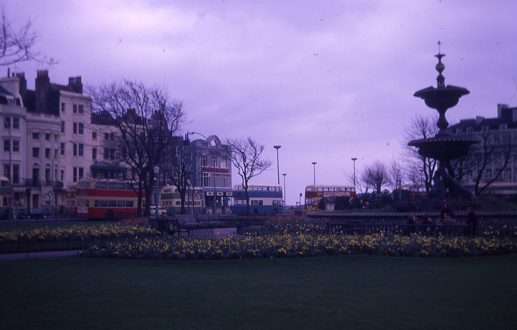 SHOWBUS PHOTO GALLERY - Southdown