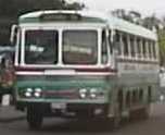 FIJI SHOWBUS INTERNATIONAL PHOTO GALLERY