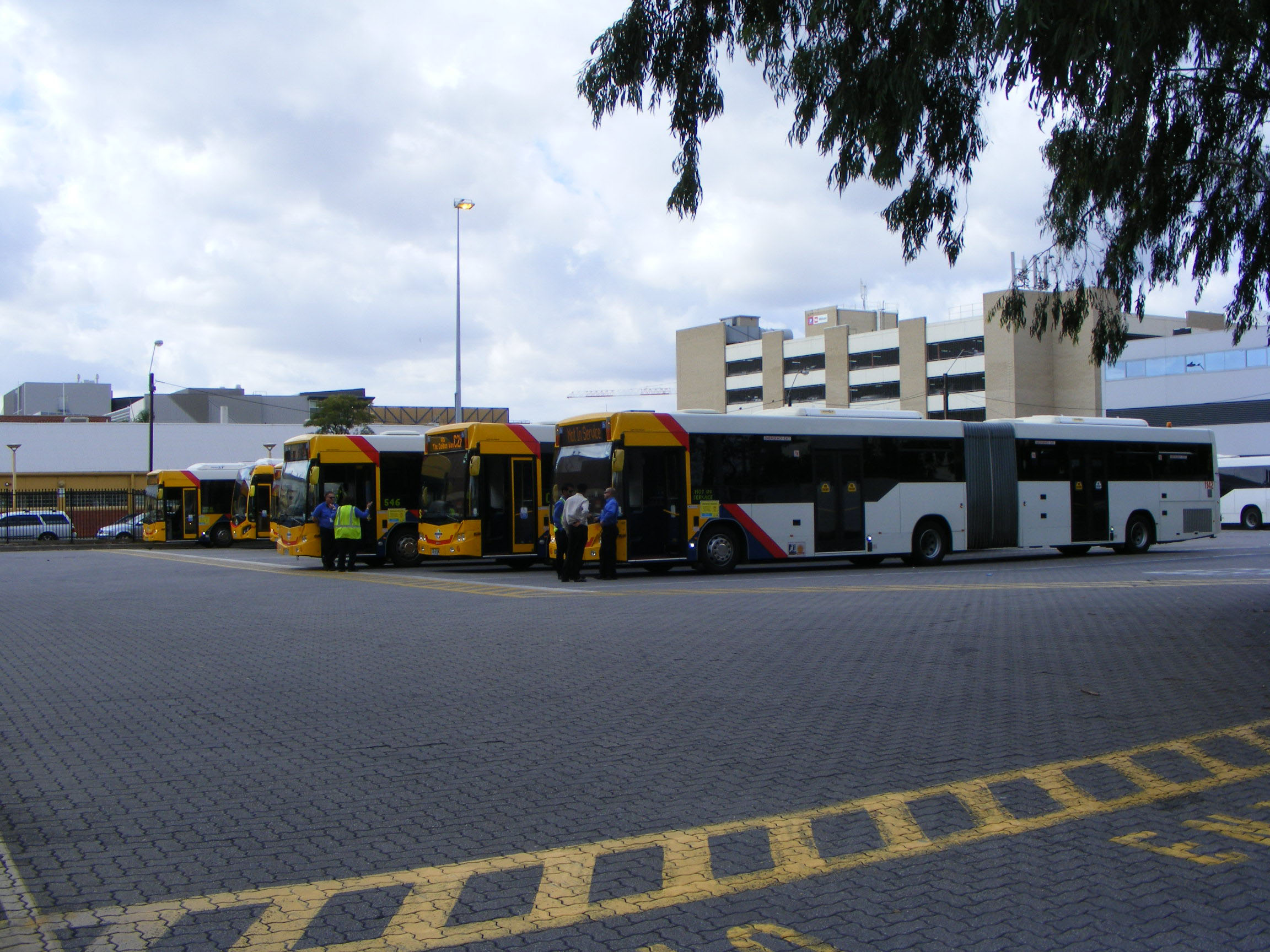 Adelaide Metro articulated buses | australia.SHOWBUS.com BUS IMAGE GALLERY