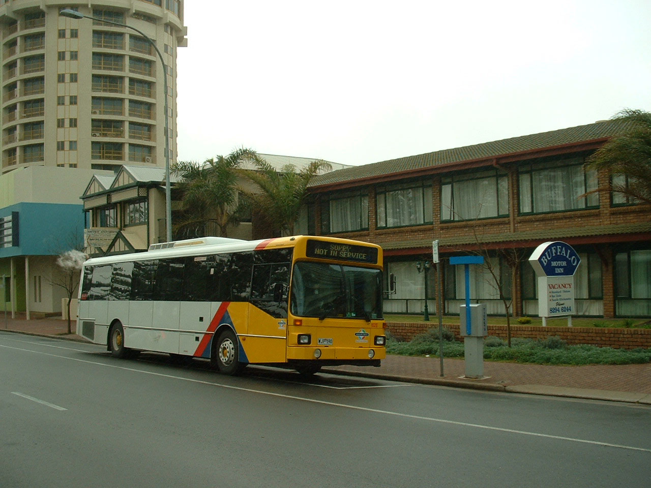 Adelaide Metro MAN rigid buses | australia.SHOWBUS.com PHOTO GALLERY