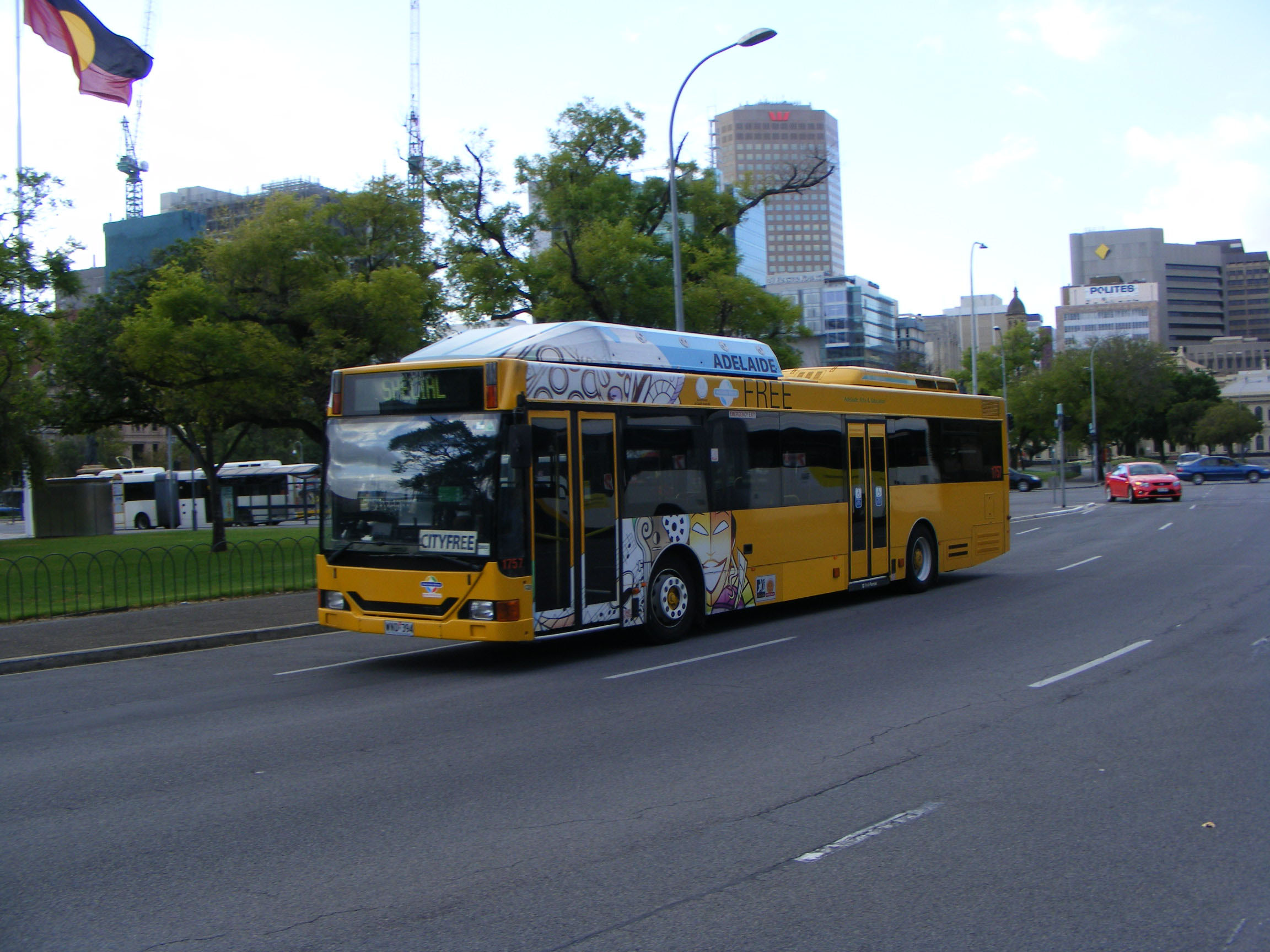 Adelaide Metro MAN rigid buses | australia.SHOWBUS.com PHOTO GALLERY