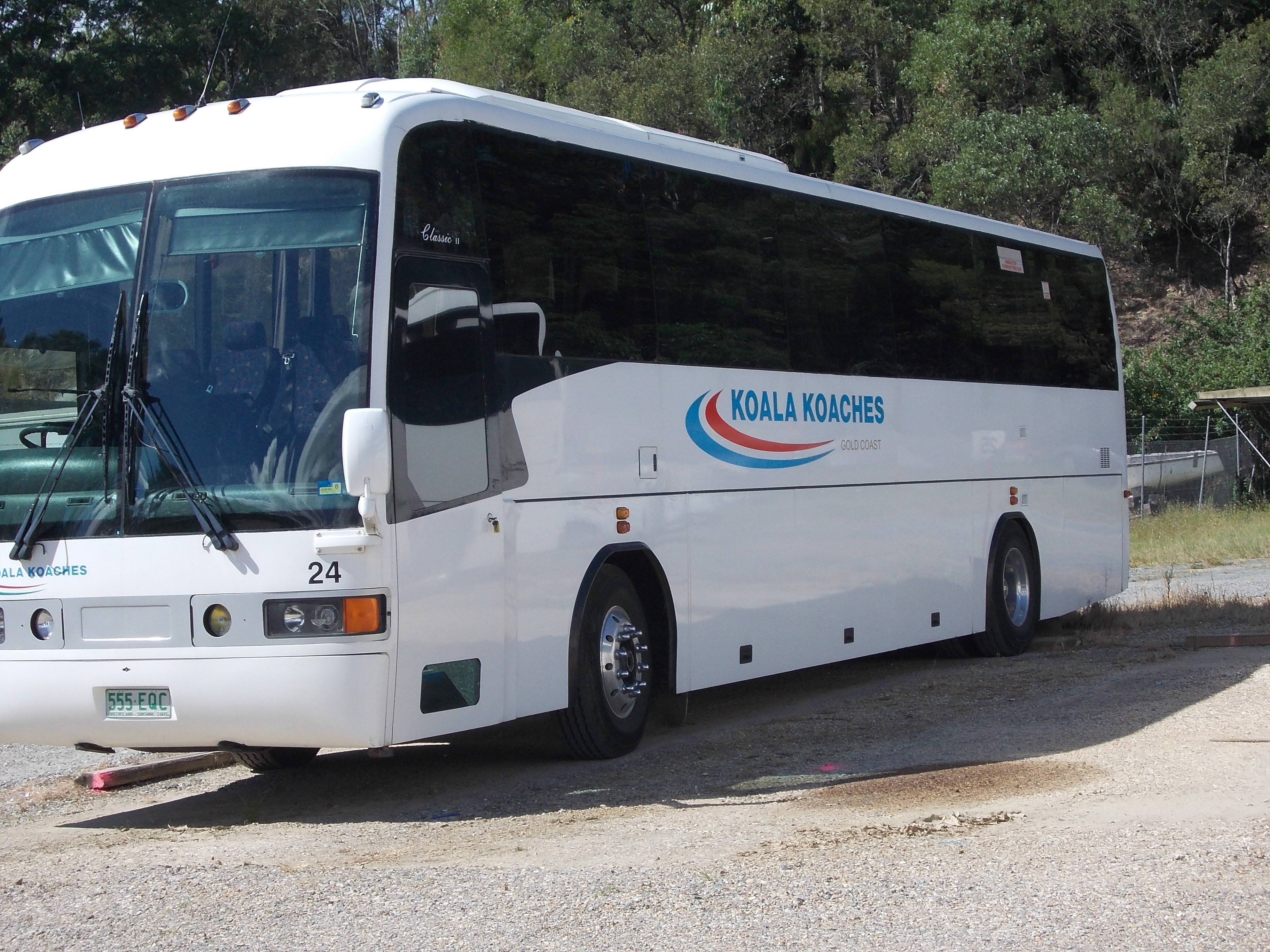 Koala Koaches | australia.SHOWBUS.com BUS IMAGE GALLERY | Queensland