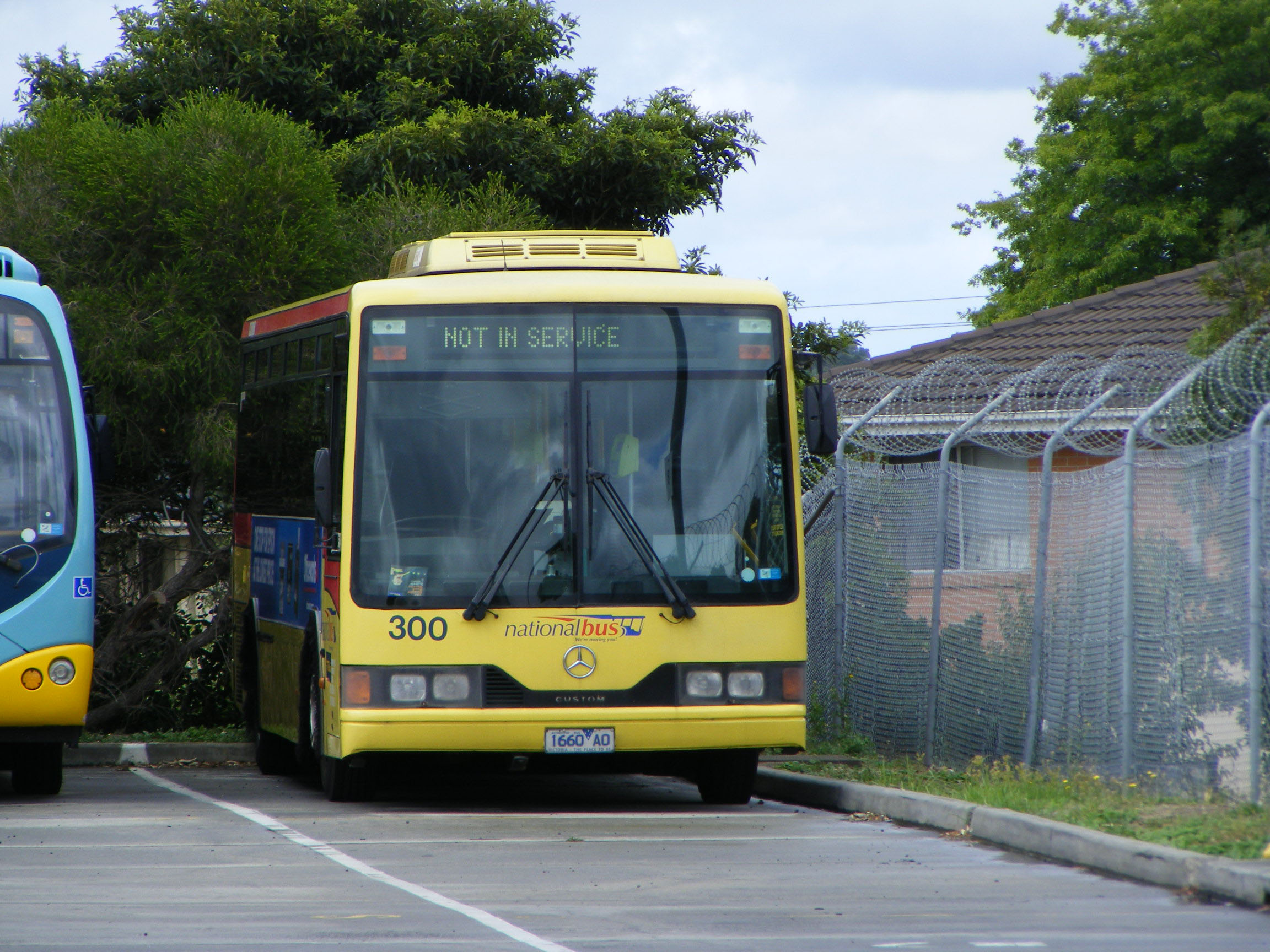 National Bus Company | australia.SHOWBUS.com BUS IMAGE GALLERY | Ventura