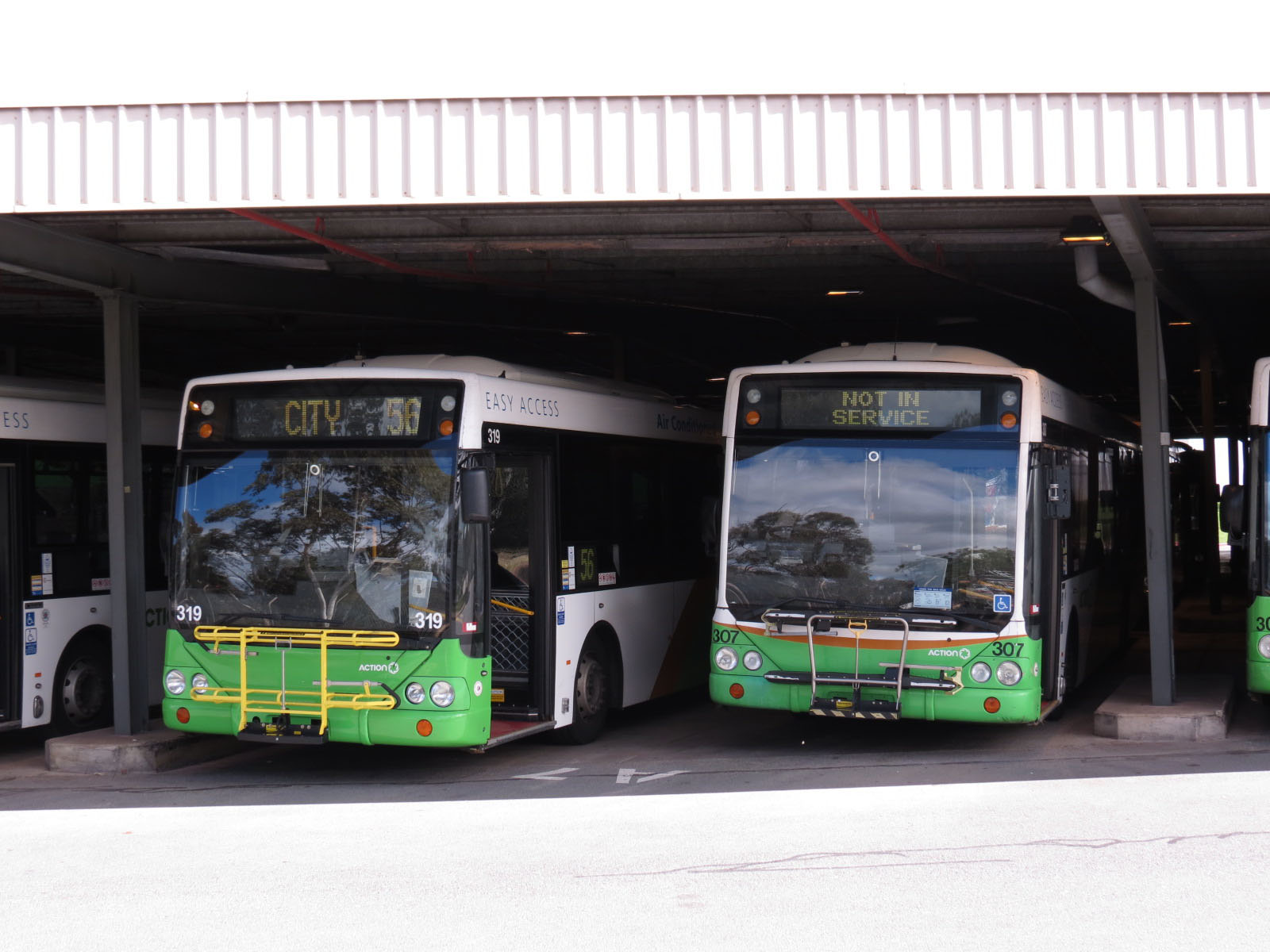 ACT ACTION | australia.SHOWBUS.com BUS IMAGE GALLERY | Australian ...