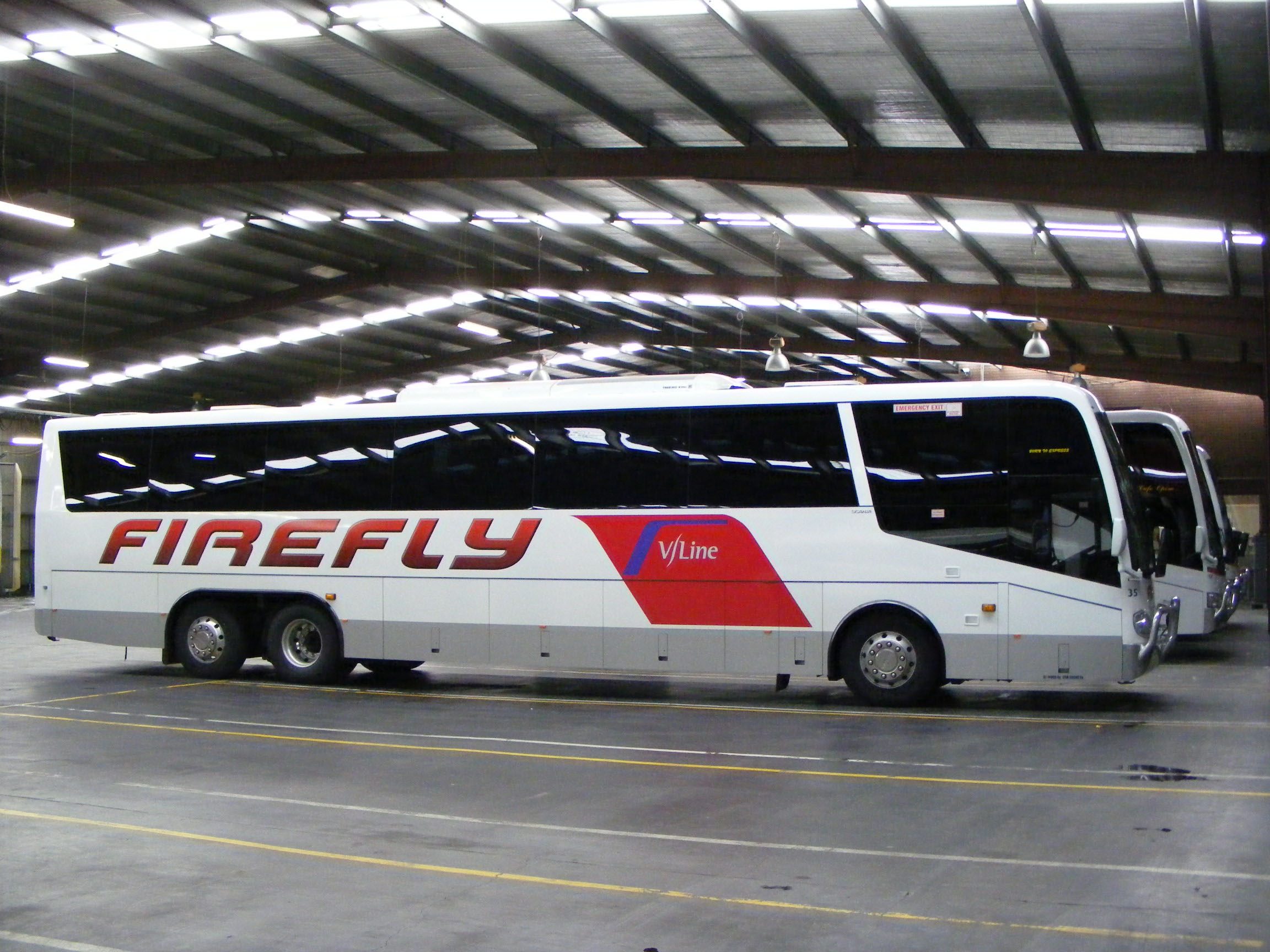Firefly Express | australia.SHOWBUS.com BUS IMAGE GALLERY