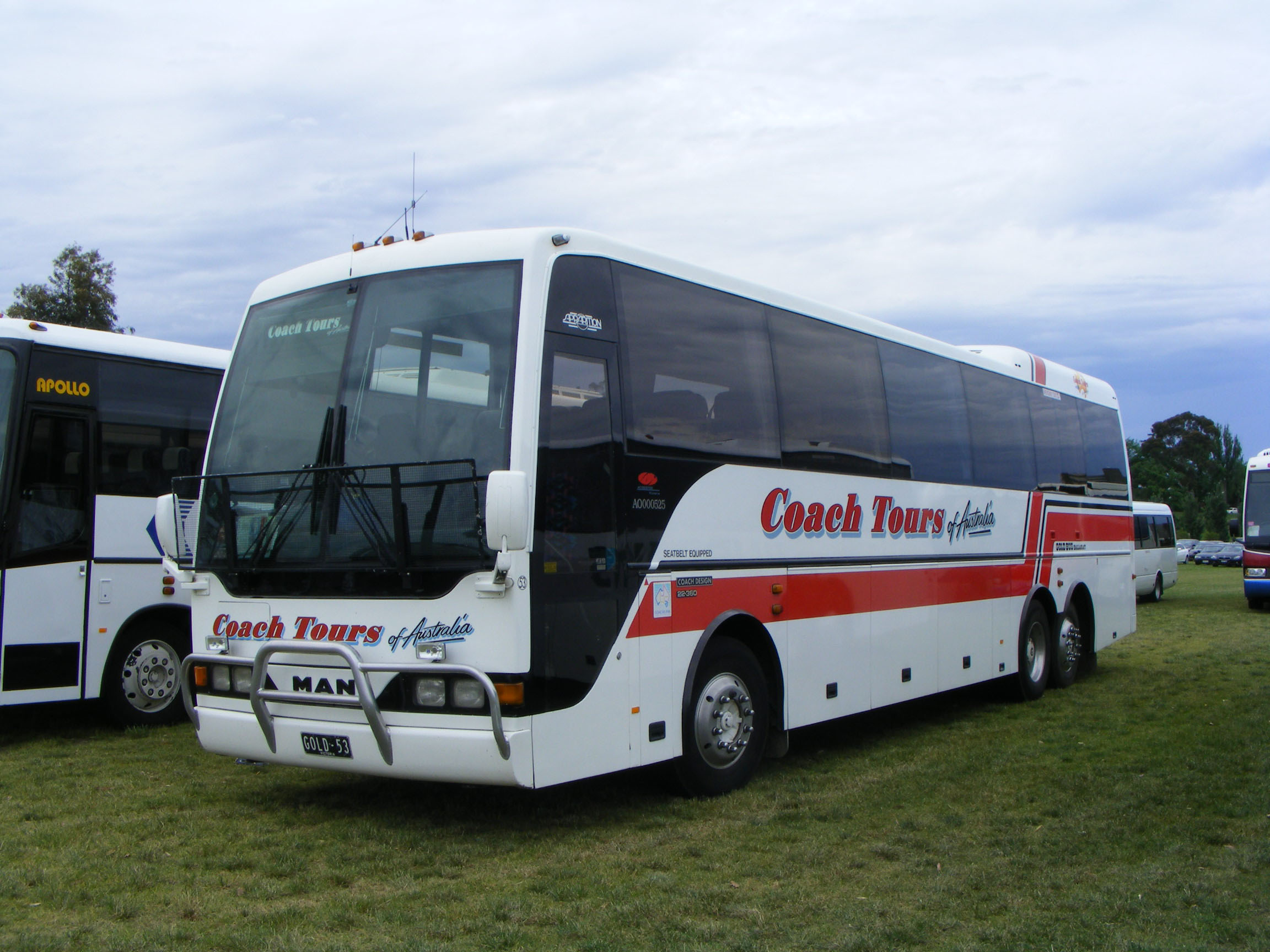 Gold Bus Ballarat | australia.SHOWBUS.com BUS IMAGE GALLERY