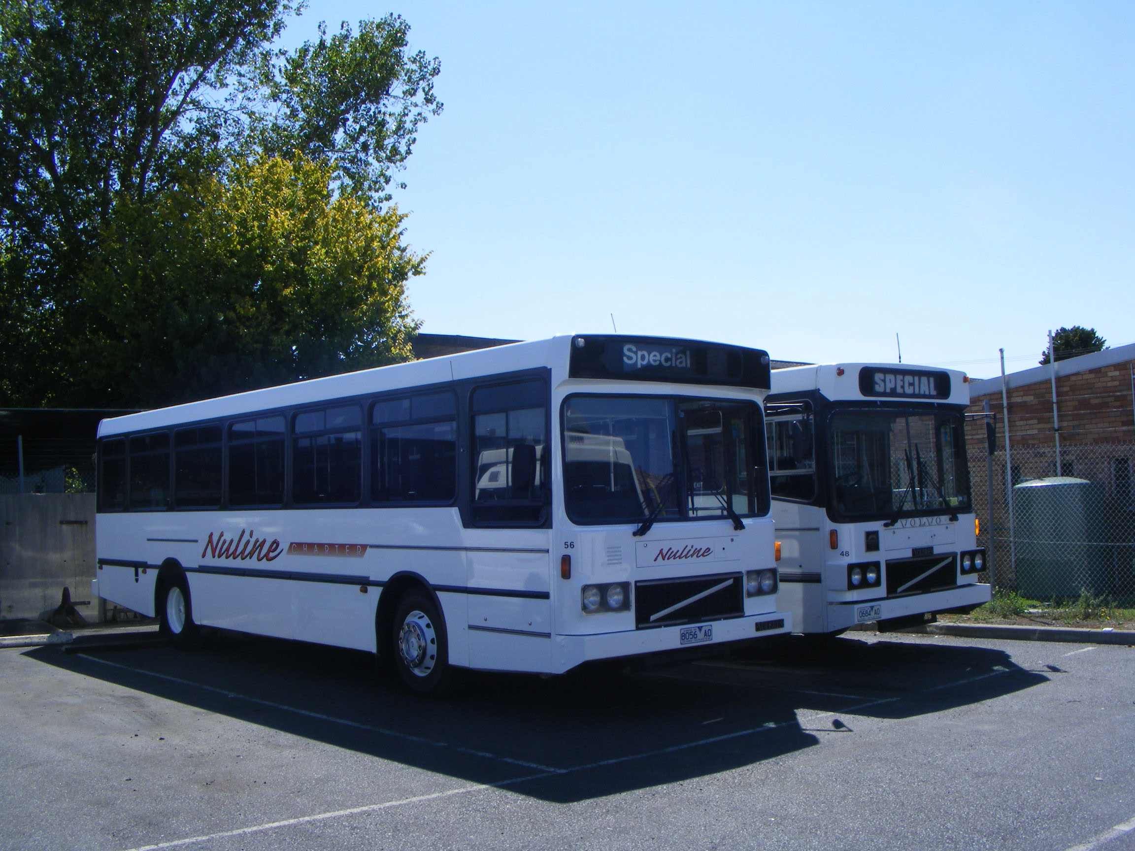 Nuline Charter | australia.SHOWBUS.com BUS IMAGE GALLERY