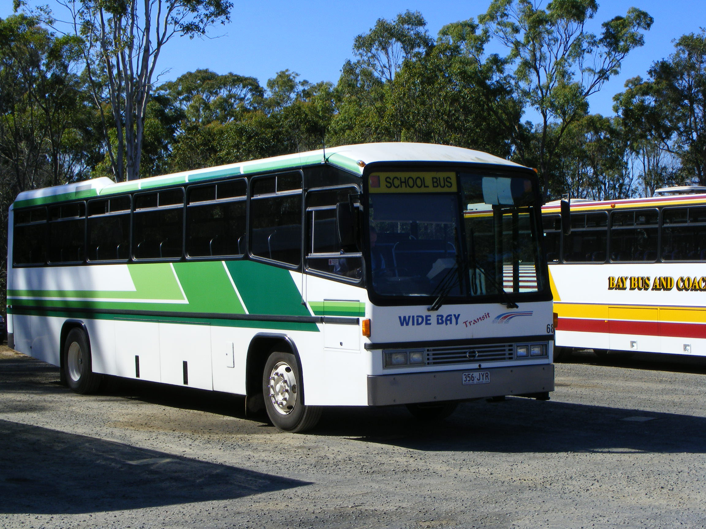 Wide Bay Transit | australia.SHOWBUS.com BUS IMAGE GALLERY | Queensland