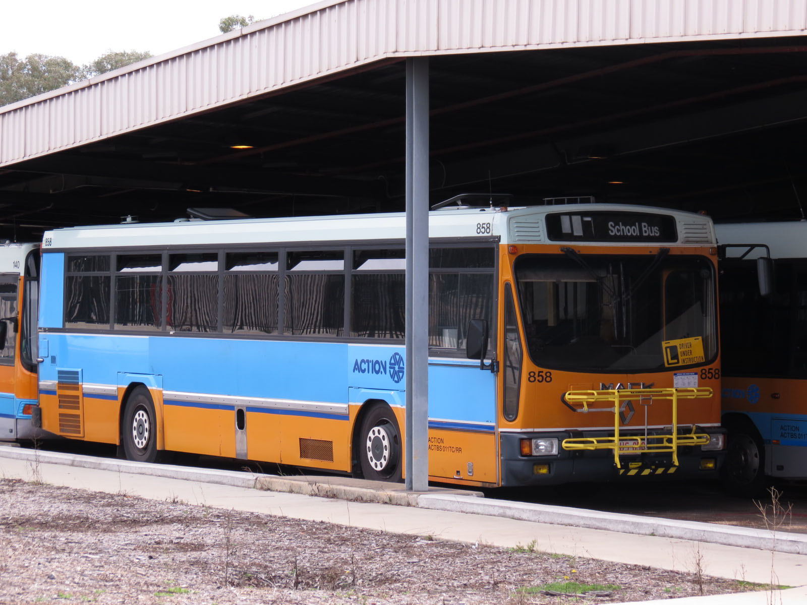 ACT ACTION | australia.SHOWBUS.com BUS IMAGE GALLERY | Australian ...