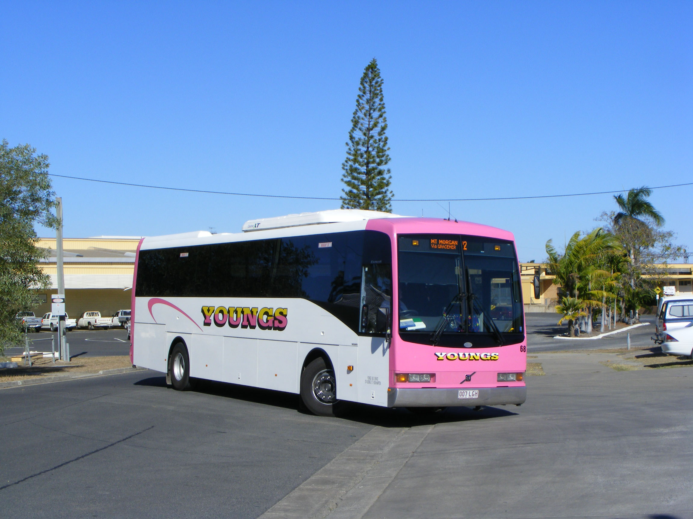 australia.SHOWBUS.com BUS IMAGE GALLERY - Young's Bus Service