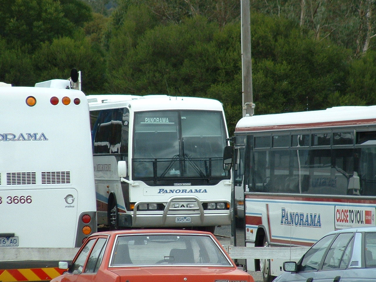Panorama Coaches - australia.SHOWBUS.com BUS IMAGE GALLERY - Dineen Group