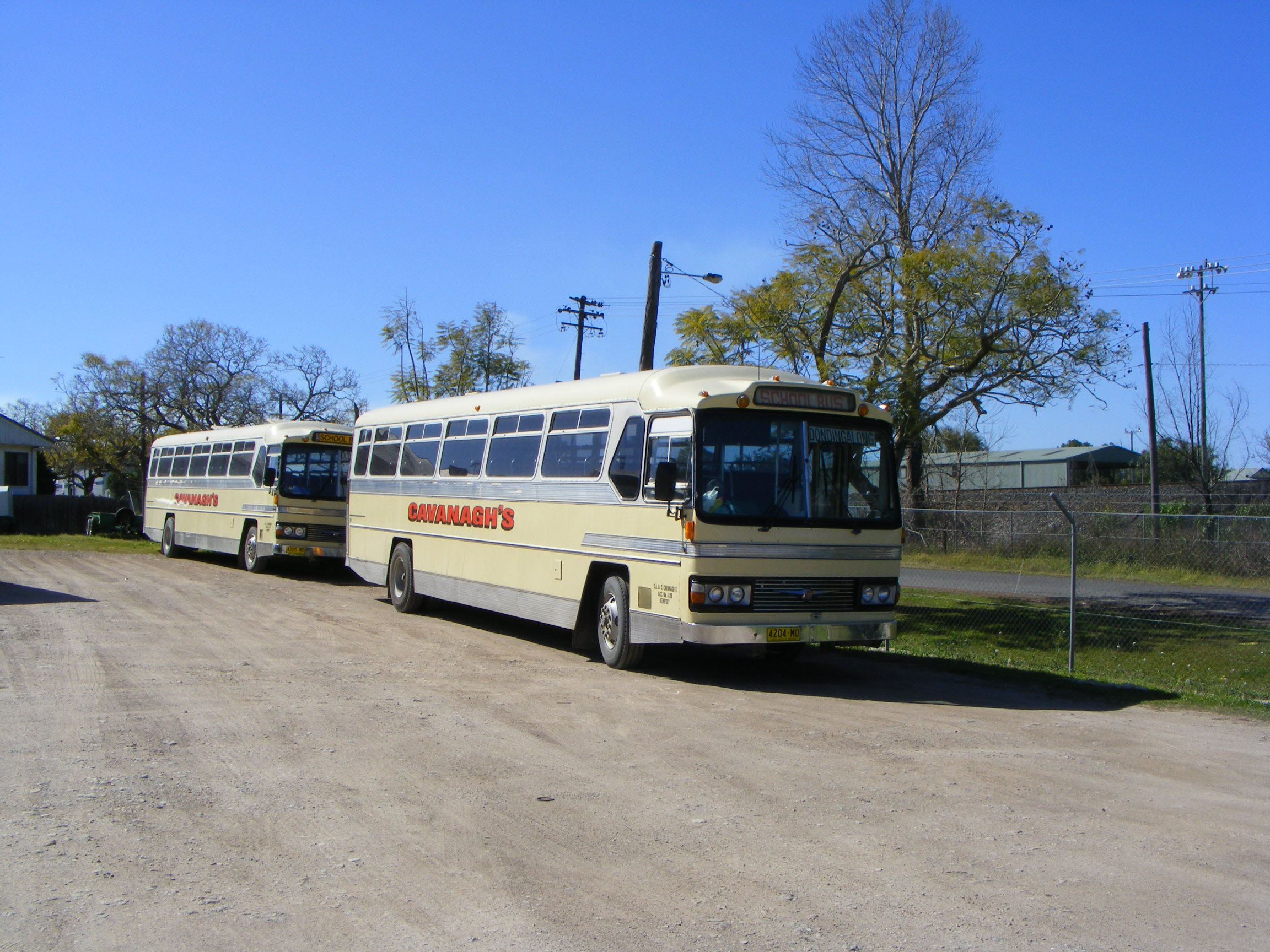 Cavanagh's of Kempsey | australia.SHOWBUS.com BUS IMAGE GALLERY | NSW