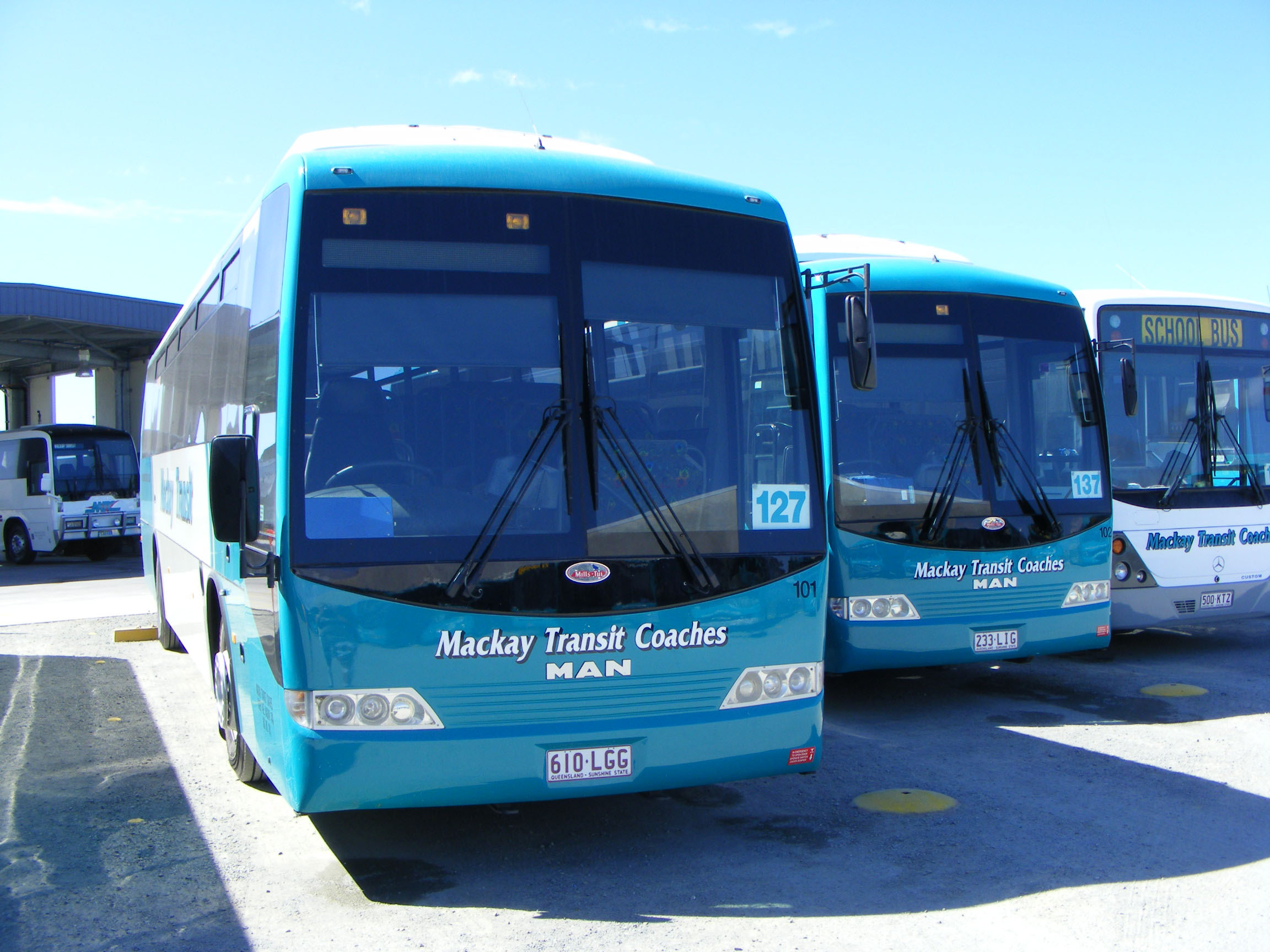 Mackay Transit Coaches | australia.SHOWBUS.com BUS IMAGE GALLERY ...