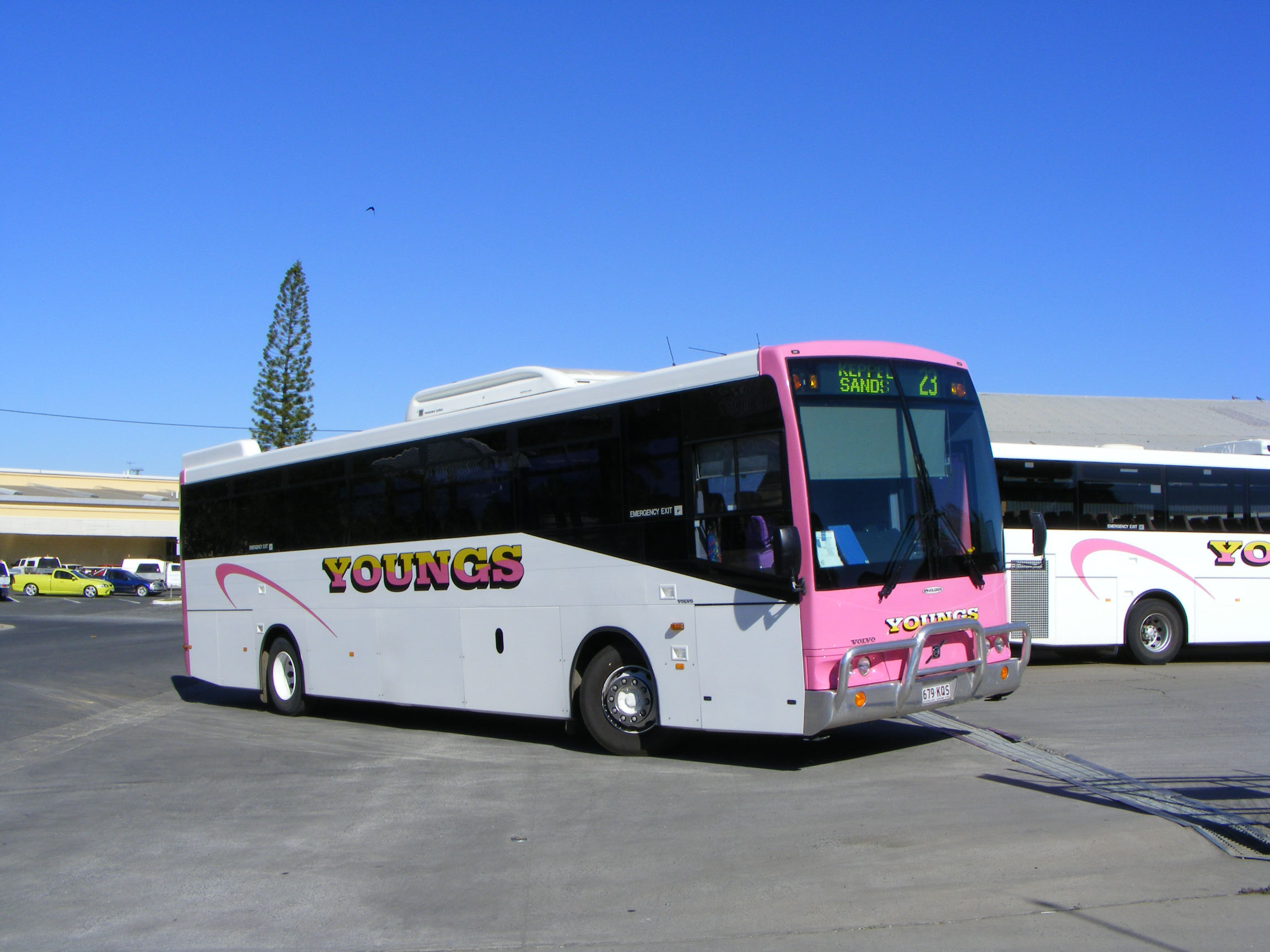 australia.SHOWBUS.com BUS IMAGE GALLERY - Young's Bus Service