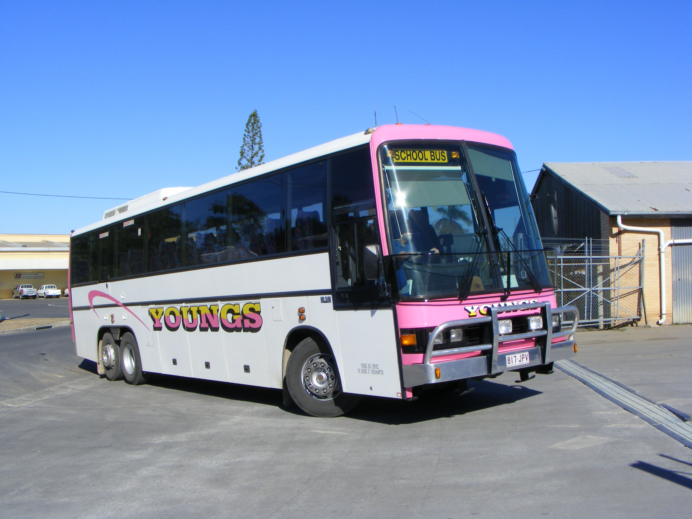 australia.SHOWBUS.com BUS IMAGE GALLERY - Young's Bus Service