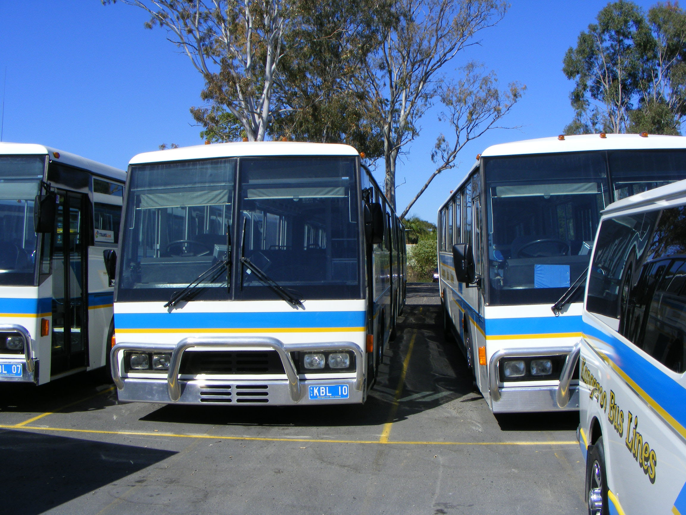 Kangaroo Bus Lines - australia.SHOWBUS.com BUS IMAGE GALLERY