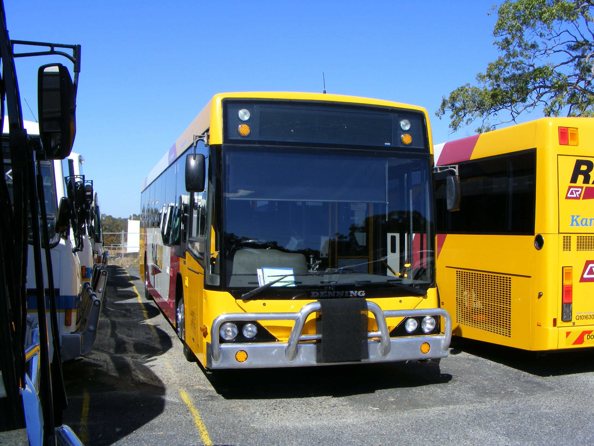 australia.SHOWBUS.com BUS IMAGE GALLERY - Kangaroo Bus Lines