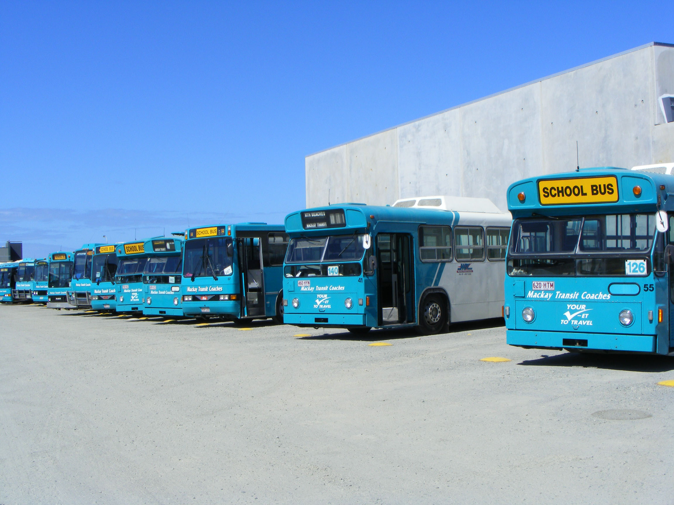 Brisbane Transport | australia.SHOWBUS.com BUS IMAGE GALLERY