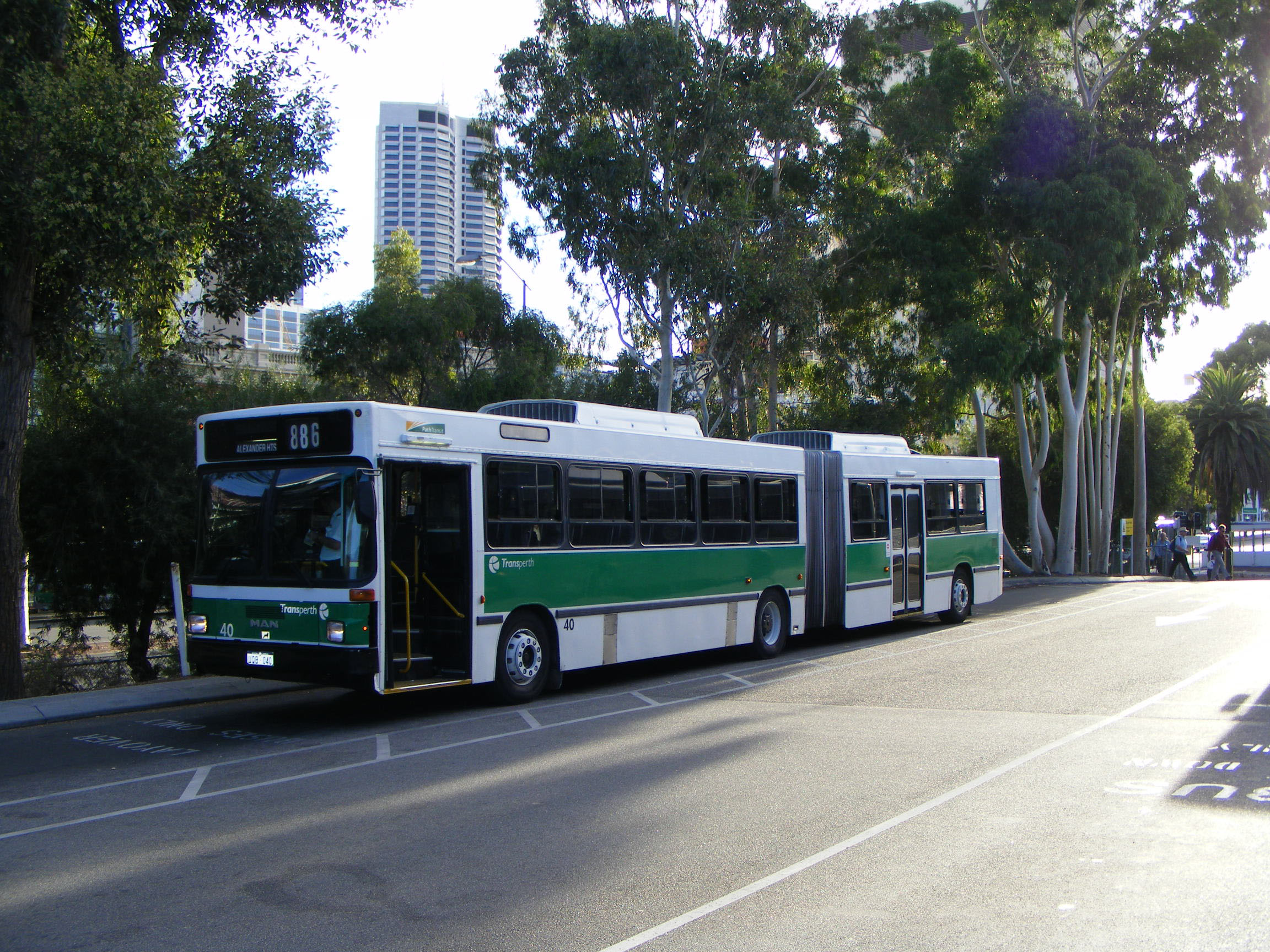 Transperth Australia SHOWBUS BUS IMAGE GALLERY