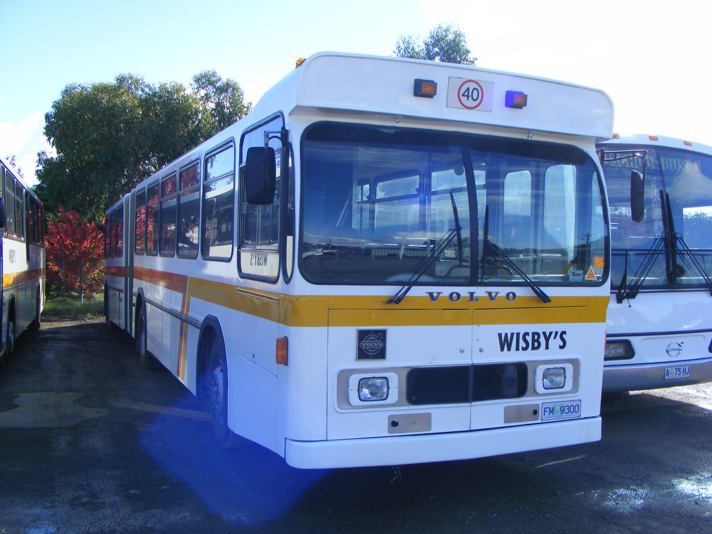 Wisby's of Margate | australia.SHOWBUS.com BUS IMAGE GALLERY