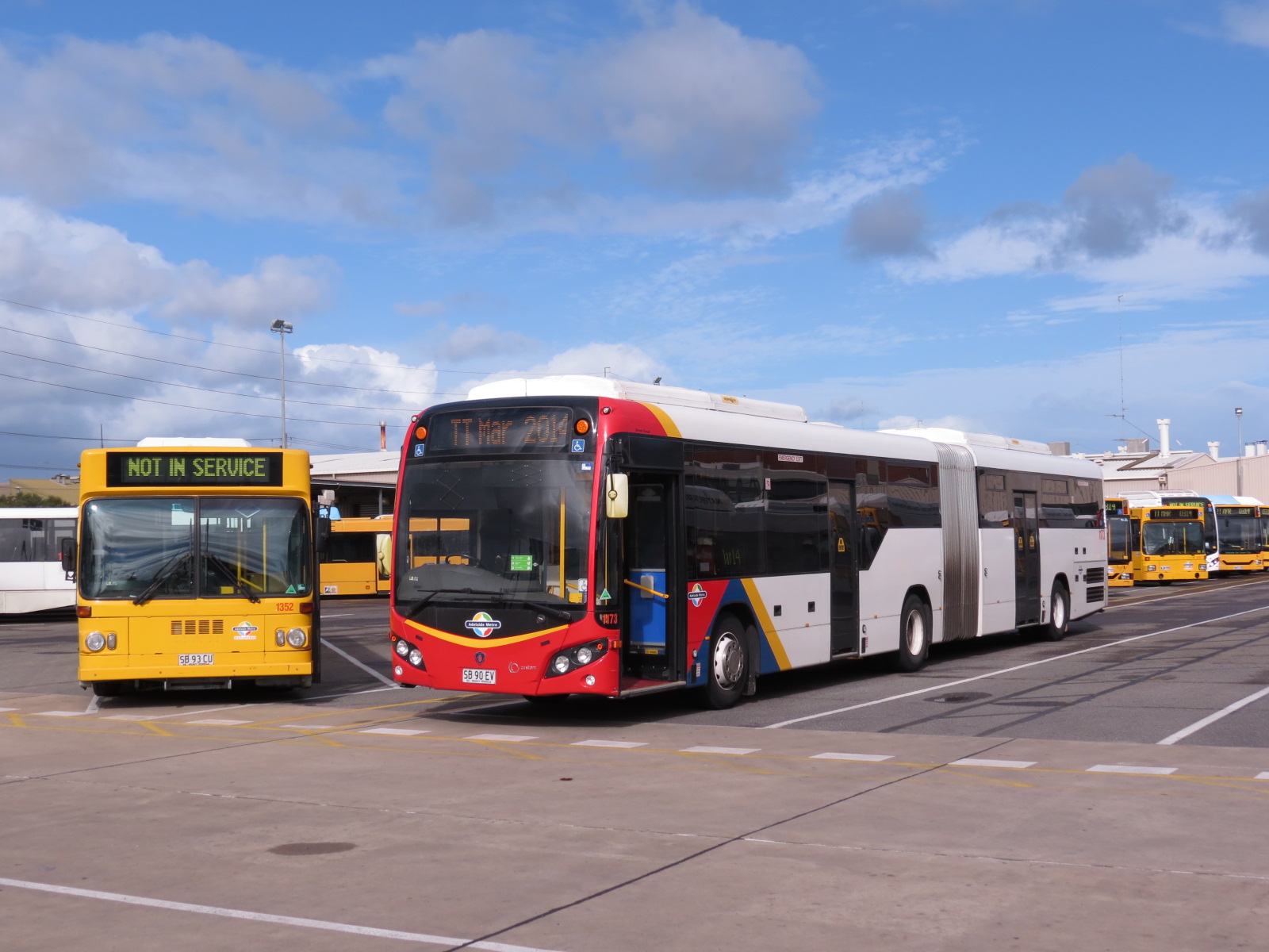 Adelaide Metro articulated buses | australia.SHOWBUS.com BUS IMAGE GALLERY