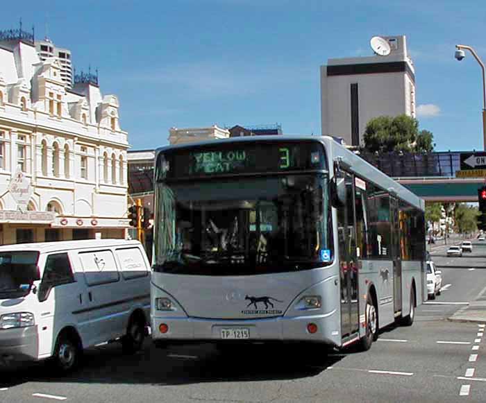 Transperth | australia.SHOWBUS.com BUS IMAGE GALLERY