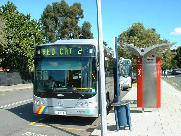 Transperth | australia.SHOWBUS.com BUS IMAGE GALLERY