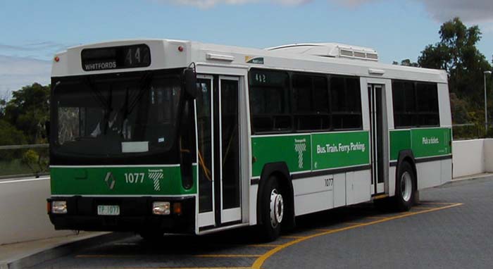 Transperth | australia.SHOWBUS.com BUS IMAGE GALLERY